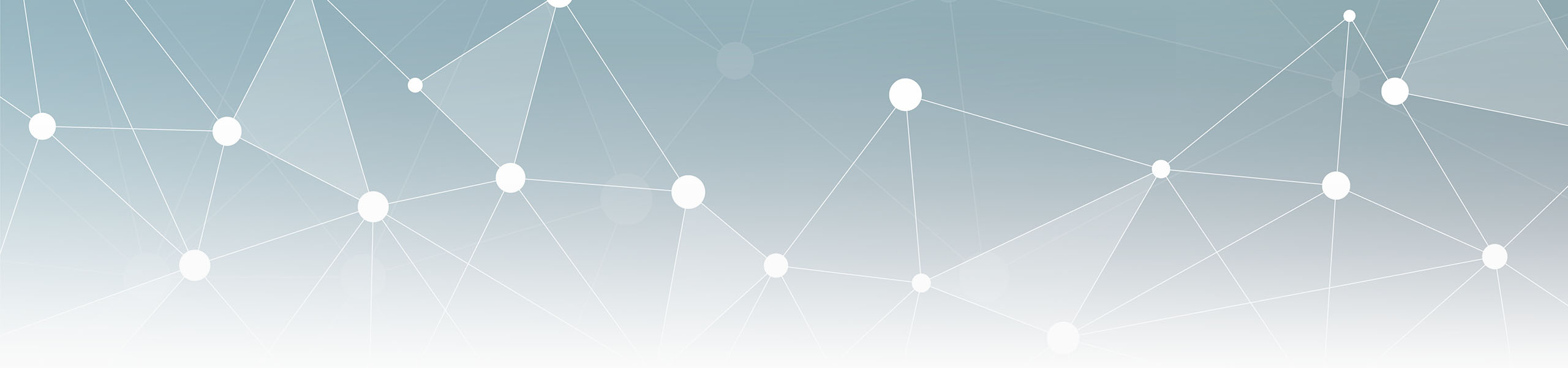 Web Solutions » Starr Web Solutions